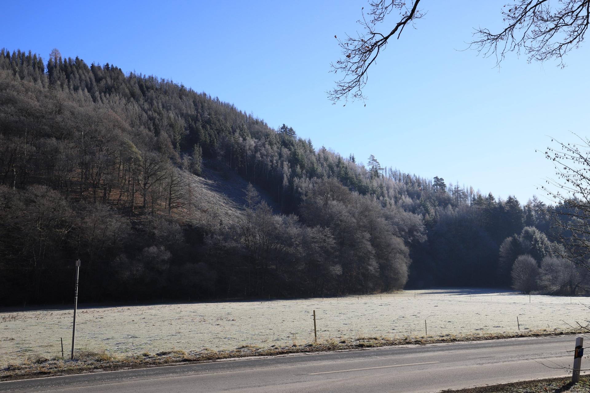 Kahlschlag am Hang unterhalb "Heide-Berg" | Waldreport